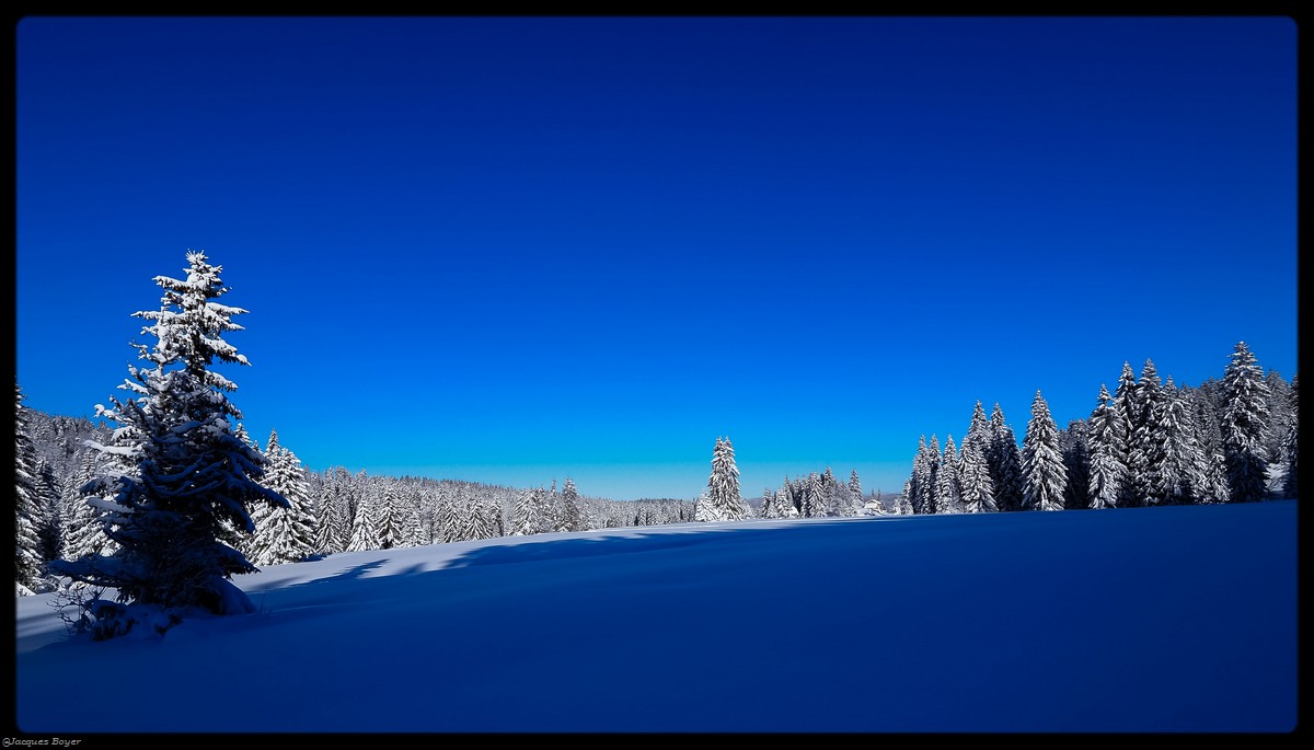 Beau moment ! – Jacques BOYER